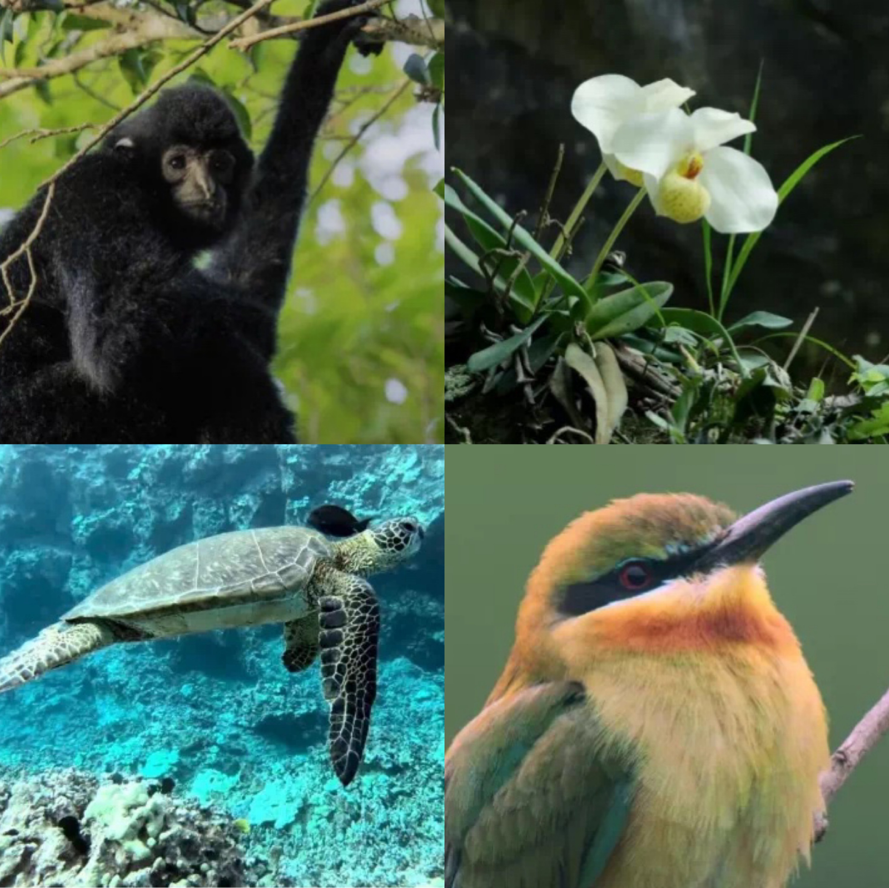 FM90.0科普 | 4K超高清！水下竟然藏着......